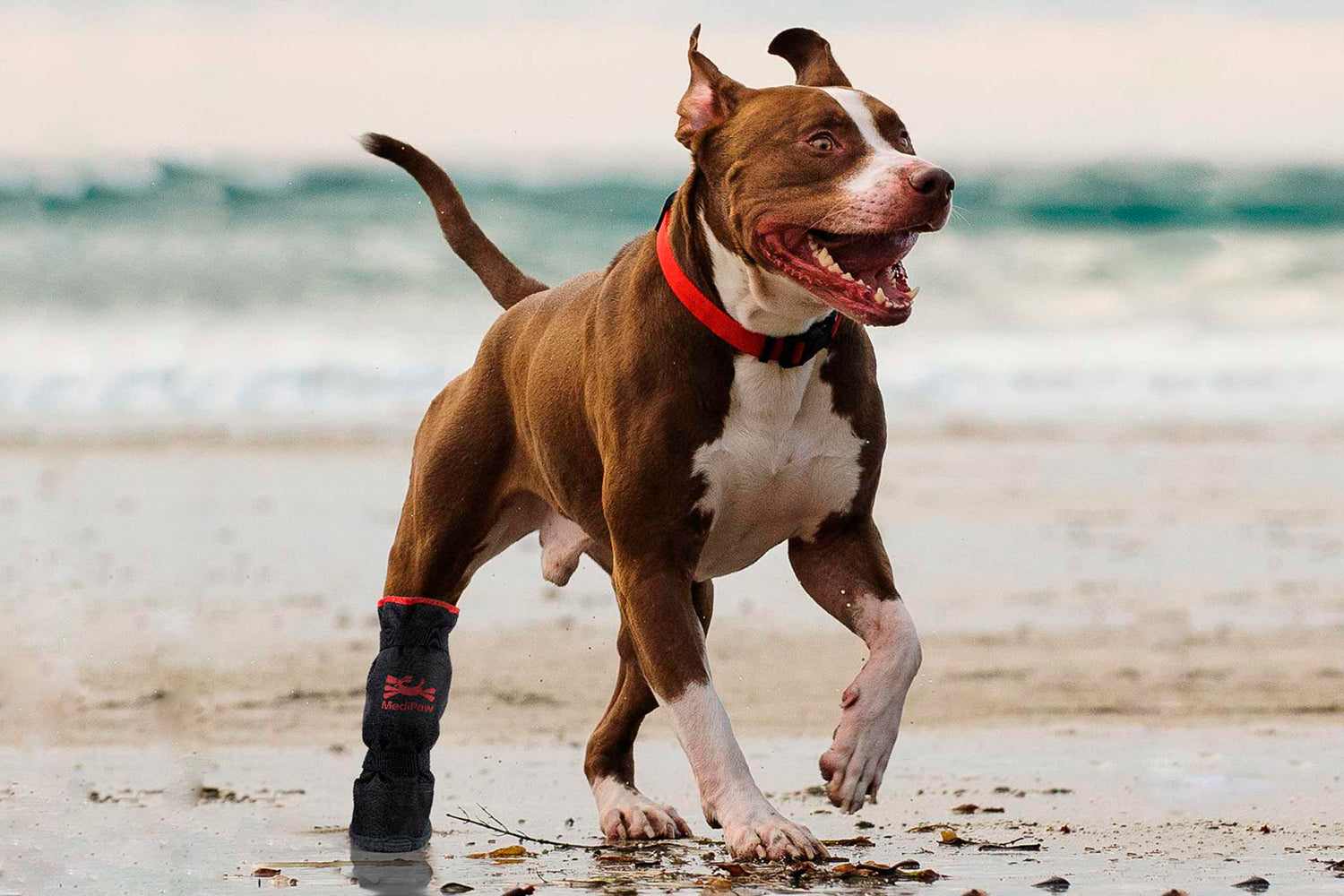 MediPaw Recovery Suits and Boots